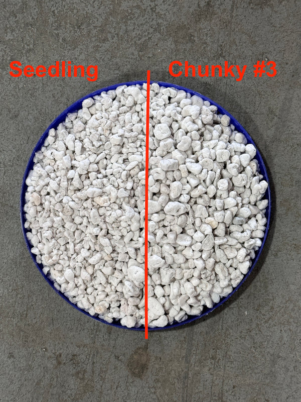 Perlite (3mm-6mm) - Seedling to 4" Pot size - Dust Removed - Select Yo ...