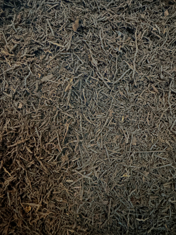 Premium New Zealand "Gritty" Tree Fern Fiber - Tezula LLC