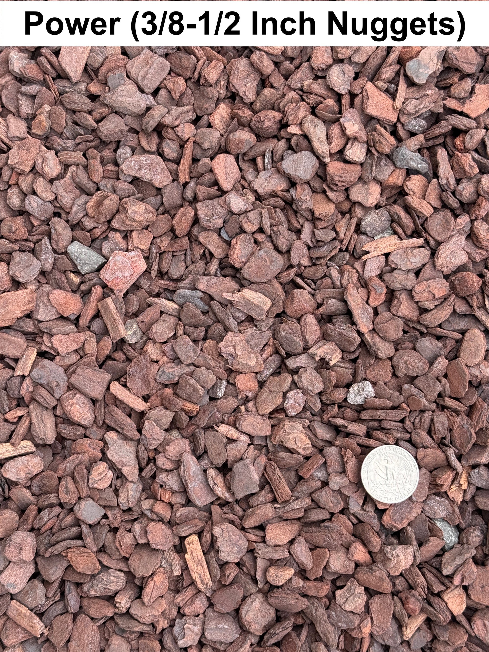 Orchiata Pine Bark (Daltons, New Zealand) - Precision, Classic, Power ...